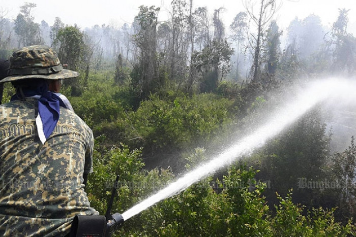 Bangkok Post - Southern wildfire damages key swamp forest