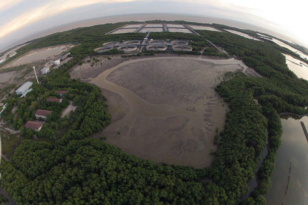 Bangkok Post - Klong Dan complex to be scaled down