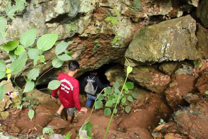 Bangkok Post - Flooding halts search for tourist missing in Mae Sai cave