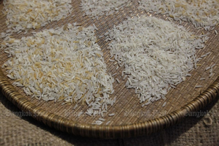 Bangkok Post - Experts: Africa rice revolution on the horizon