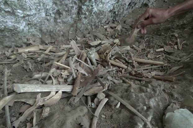 Bangkok Post - Wild monkey 'graveyard' found in Trang