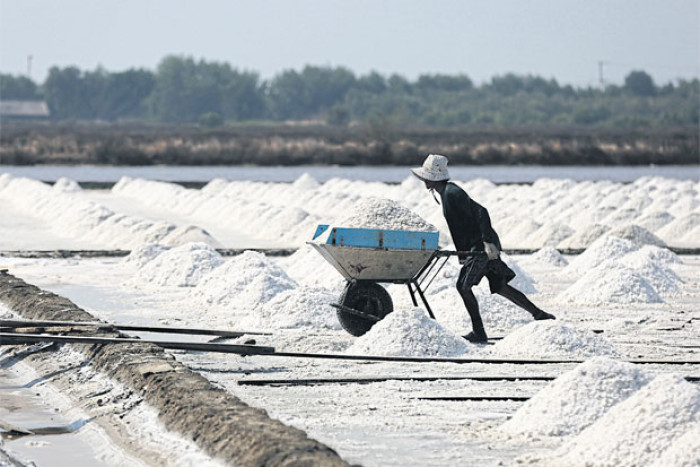 Bangkok Post - From salt to solar
