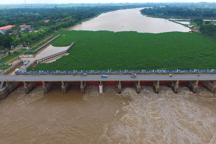 Bangkok Post - Chao Phraya Dam being cleared of water hyacinth
