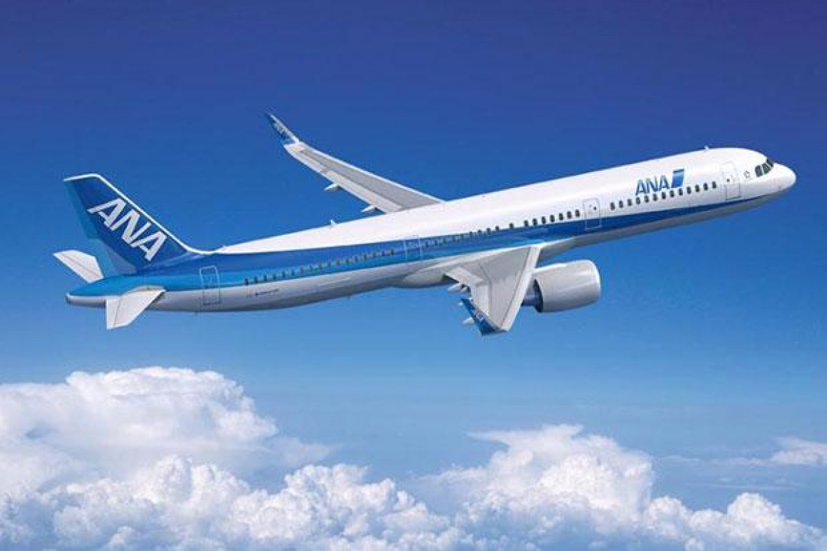 Bangkok Post - ANA not yet in low-cost alliance but subsidiary Vanilla does