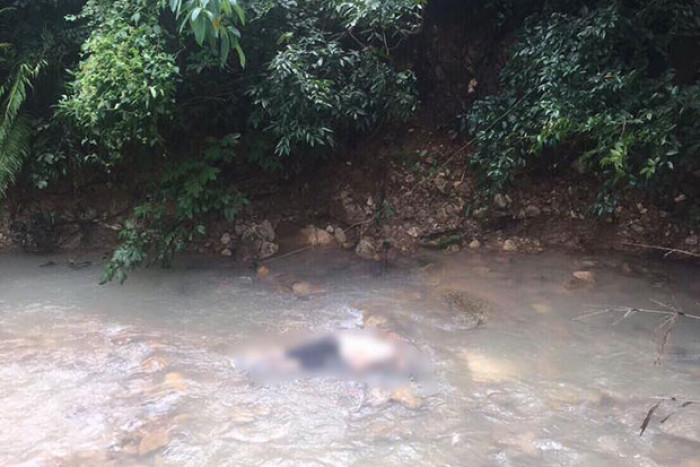 Bangkok Post Frenchman Arrested Over Death Of Compatriot On Samui