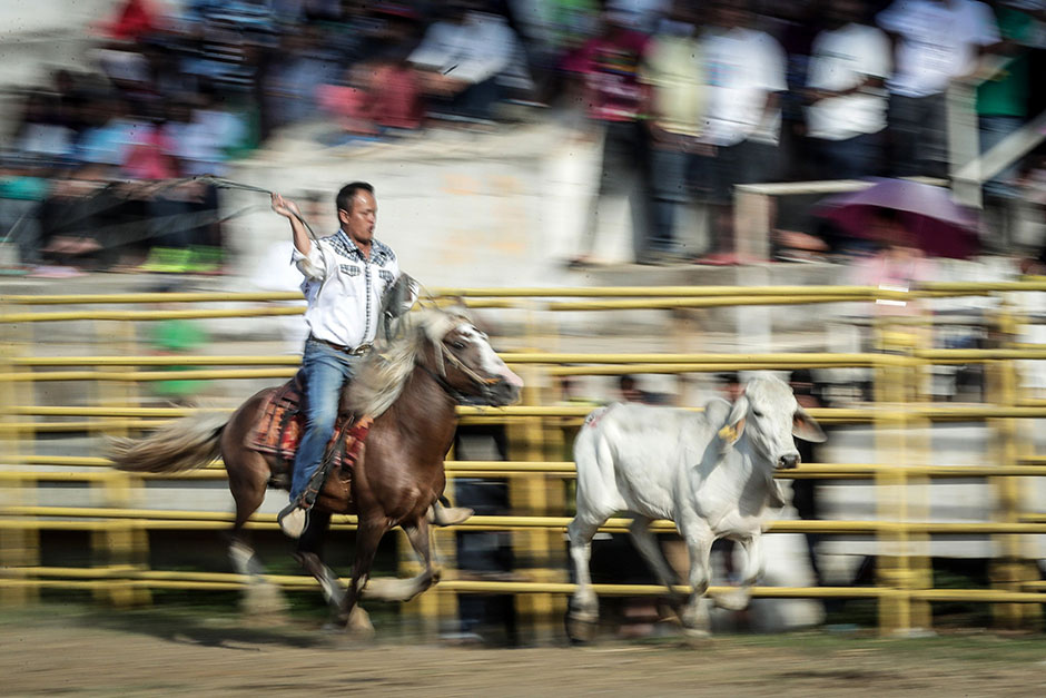 Bangkok Post - Photo gallery | Bangkok Post