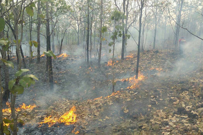 Bangkok Post - Fire bans imposed in all districts of Lampang