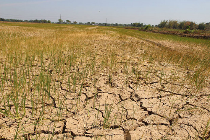 Bangkok Post - Farmers may lose 84,000 rai of off-season crops