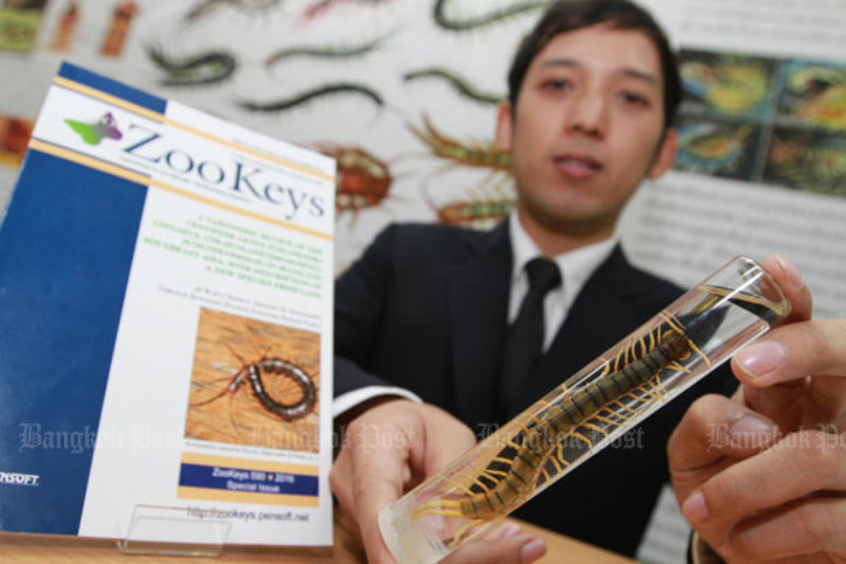 Bangkok Post - Amphibious centipede brings new species award