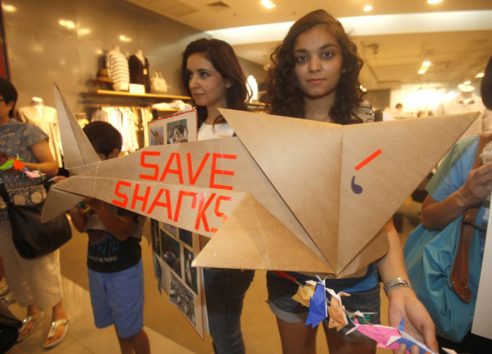 Bangkok Post - Singapore now world’s second-largest shark fin trader