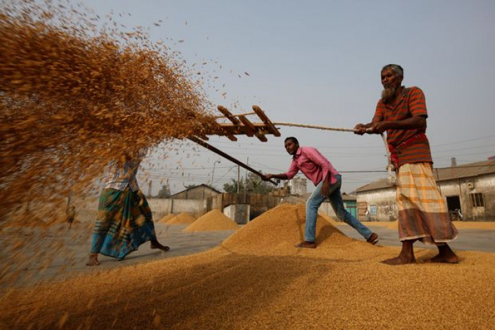 Bangkok Post - Bangladesh to buy rice from Thailand, India