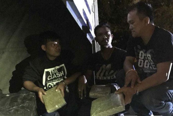 Bangkok Post 520kg Of Marijuana Seized In Songkhla