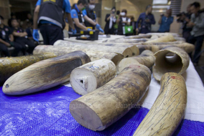 Bangkok Post - Poached ivory from Lagos seized at Suvarnabhumi