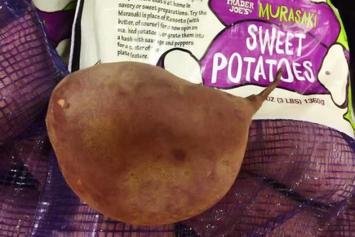 Bangkok Post - Potato scam leaves farmers out of pocket