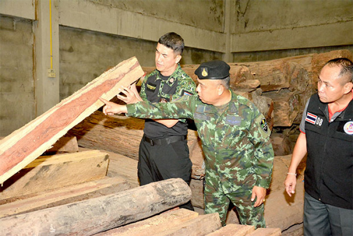 Bangkok Post - Chinese man held in B36m log seizure