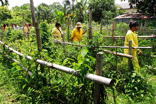 Bangkok Post - School is in session