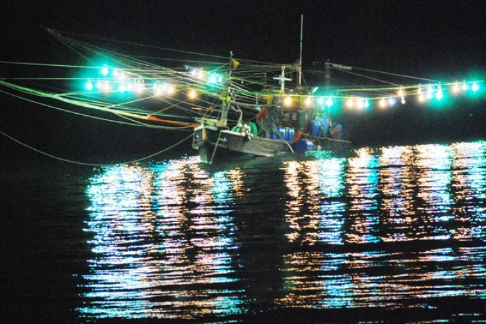 Bangkok Post - Squid importers face extra paperwork