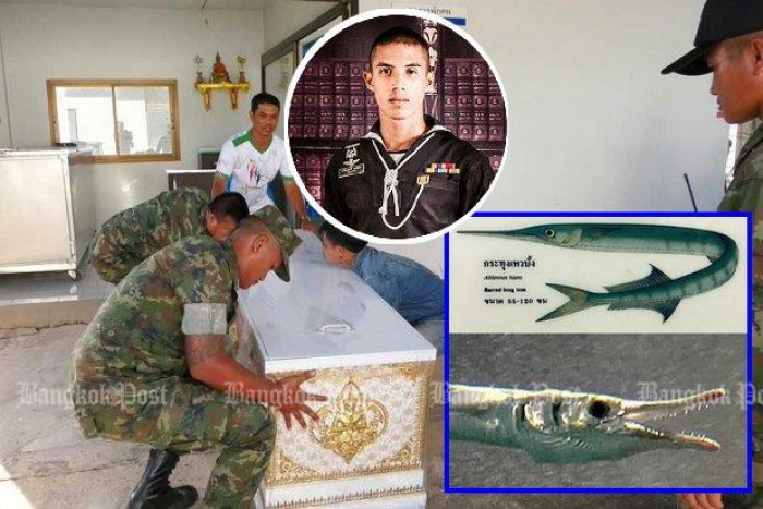 Fish kills sergeant in freak attack Bangkok Post Learning - Learn ...