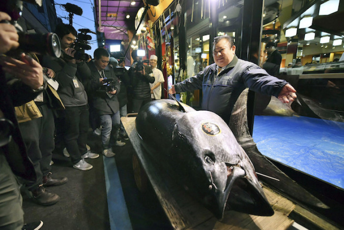 Bangkok Post - Tuna fetches record $3m at Tokyo auction