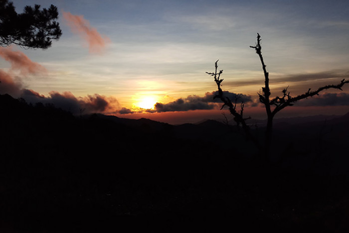 Bangkok Post - Northern star rising