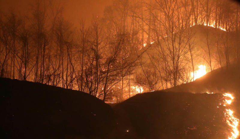 Bangkok Post - Seoul declares disaster as winds fan giant forest fire