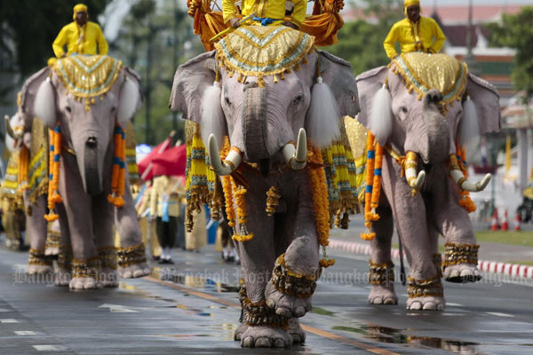 Bangkok Post - Beautiful elephants parade to honour King