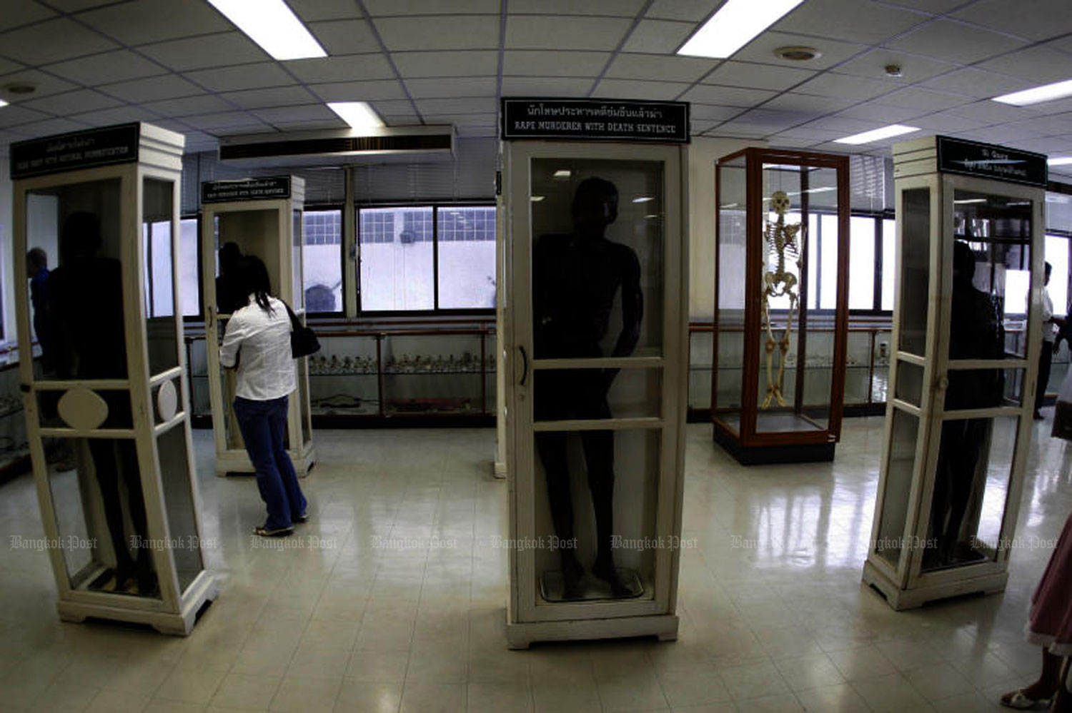 Bangkok Post - Siriraj Hospital to expose secrets of 'man eater'