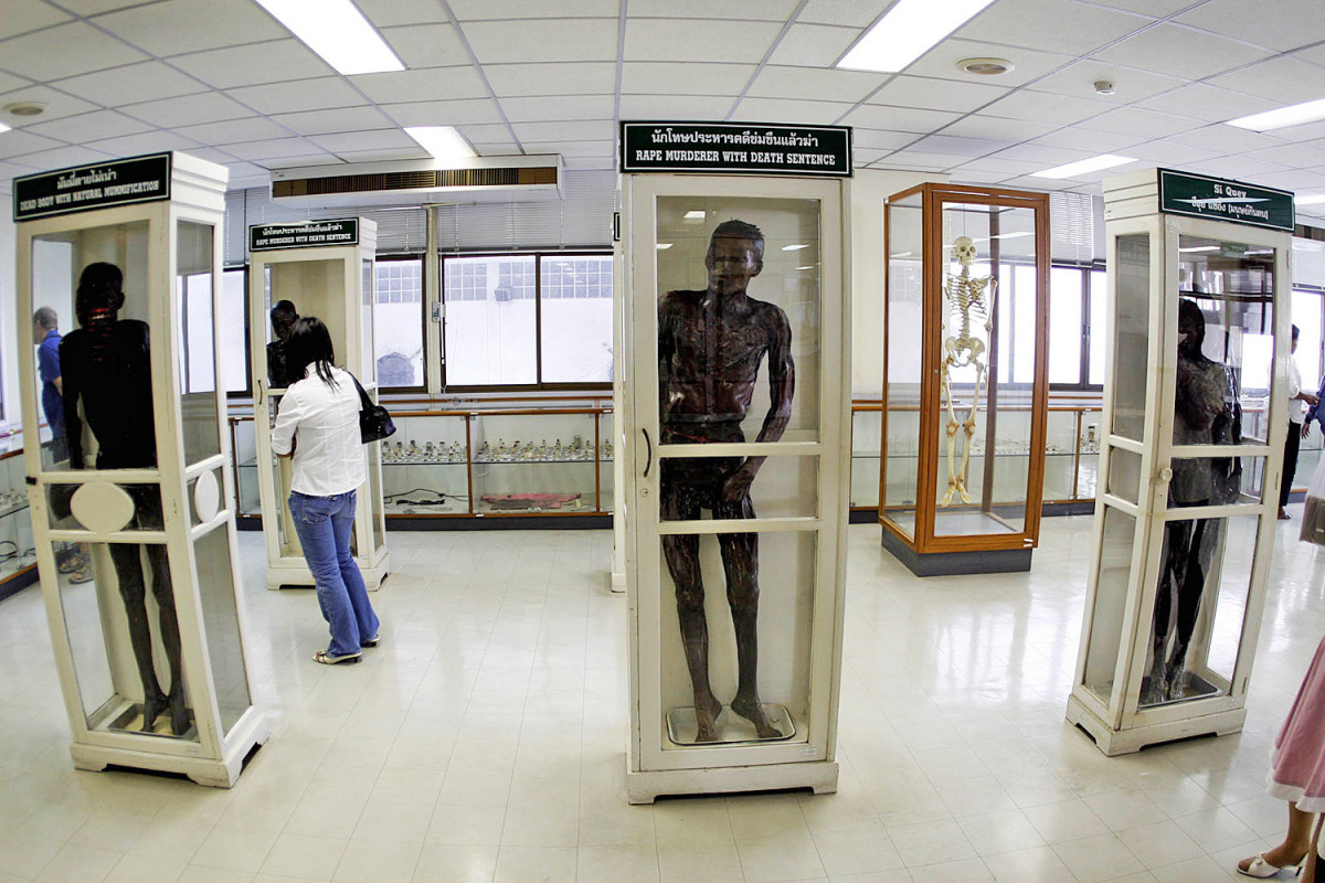 Bangkok Post - Siriraj Hospital to expose secrets of 'man eater'