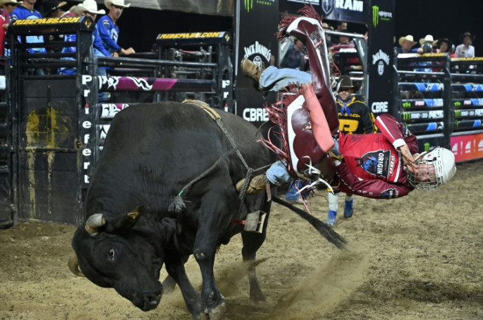 Bangkok Post - Death-defying bull riders thrill crowds in popular ...