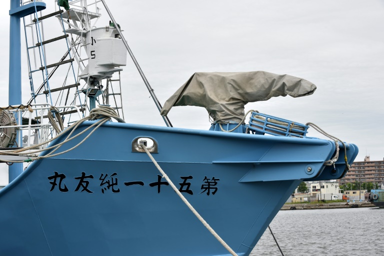 Bangkok Post - Whaling ships set sail as Japan resumes commercial hunts
