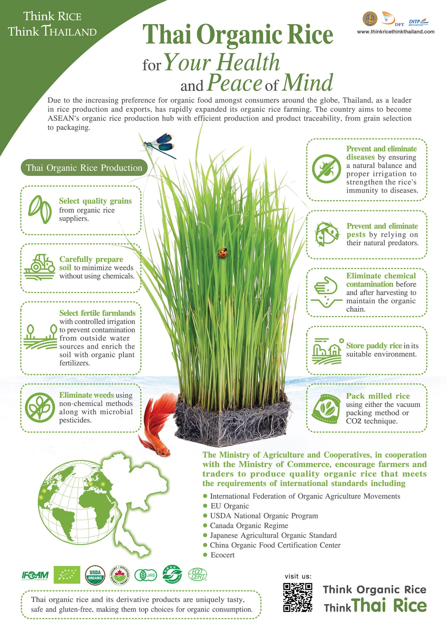 Bangkok Post - Thai Organic Rice for Your Health and Peace of Mind