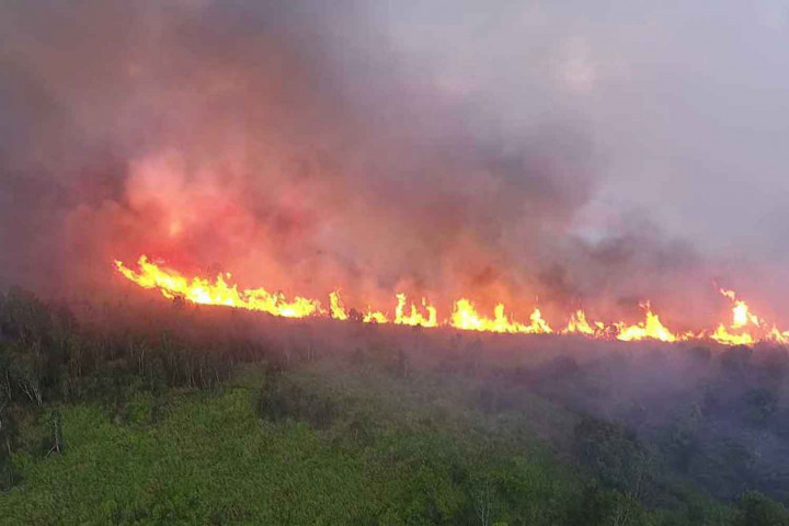 Bangkok Post - Disaster zones declared over forest fire