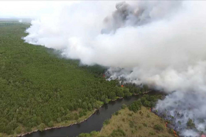 Bangkok Post - Southern peat swamp fire expanding