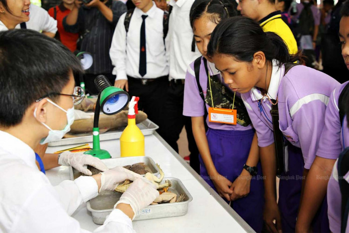 Bangkok Post - Obec schools plan to teach 'coding'