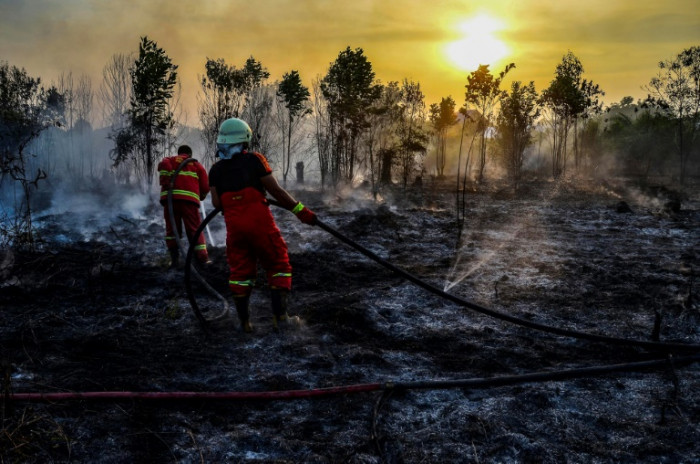 Bangkok Post - Forest fires destroying vital buffer against climate change