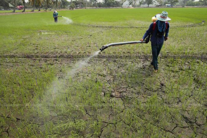 Bangkok Post - Farmers battle over chemical ban