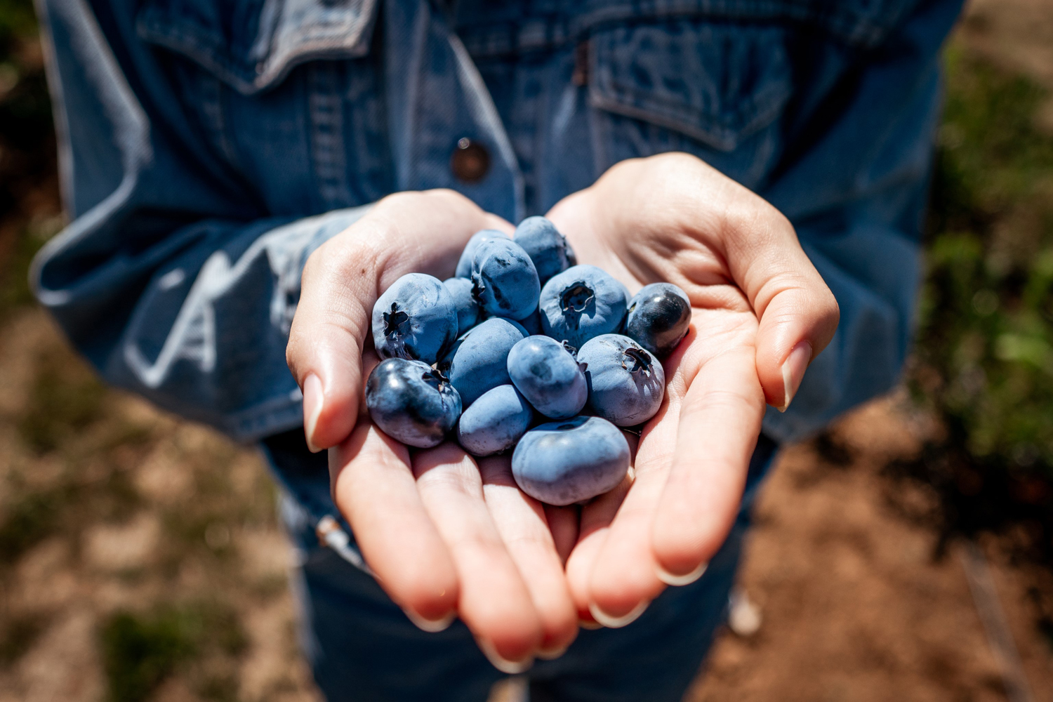 Bangkok Post - Pok-Margie Tours Nutrilite Farm to Discover Organic Way ...