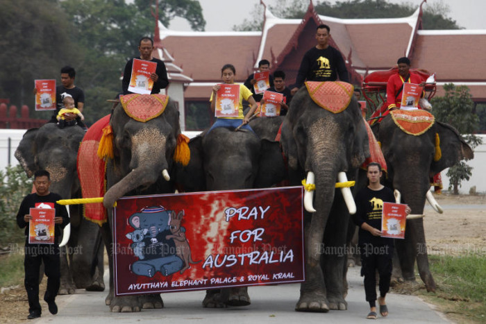Bangkok Post - Elephants march in silence for Australian bushfires