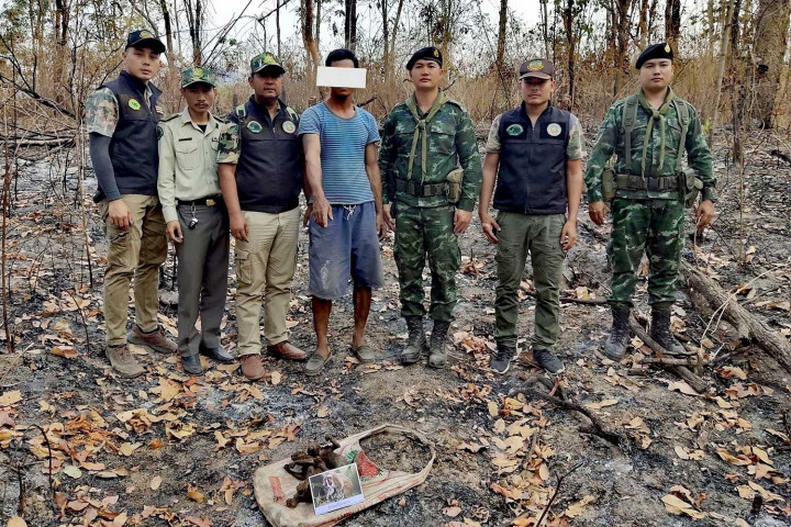 Bangkok Post - Myanmar man caught, loris carcasses seized