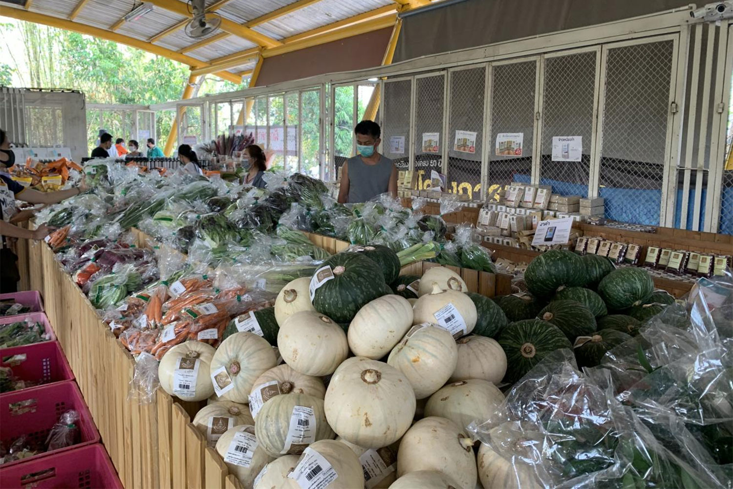 Bangkok Post - Royal Project helps with healthy produce