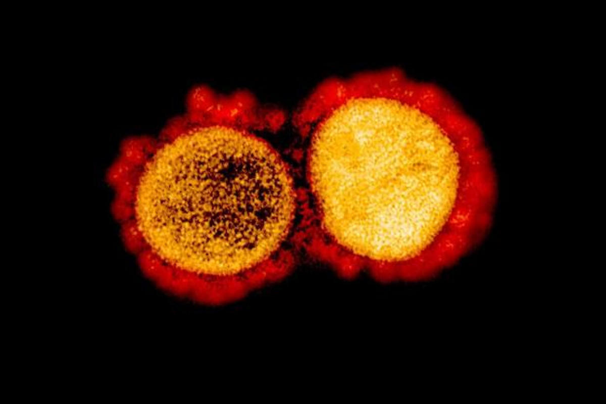 Bangkok Post - Southeast Asia detects mutated virus strain sweeping the ...