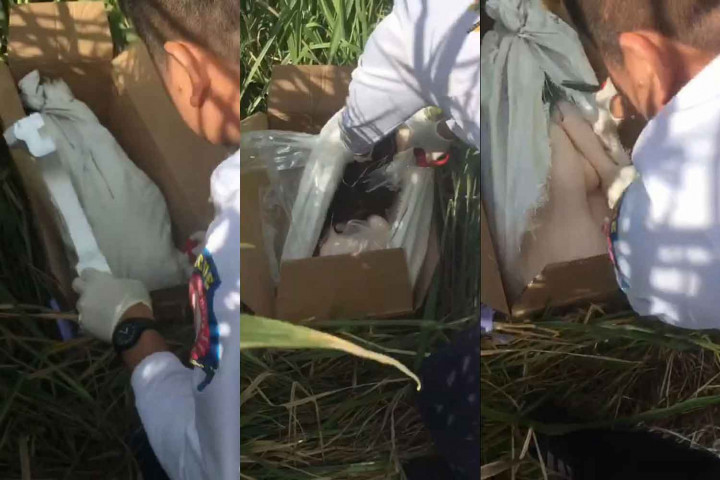 Bangkok Post - Dumped cardboard box contained a 'body'