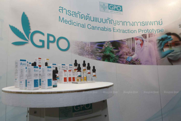 Bangkok Post - GPO: Cannabis extracts work well in patients