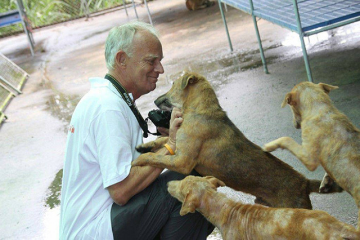 Bangkok Post - Soi Dog Foundation founder gets British royal award