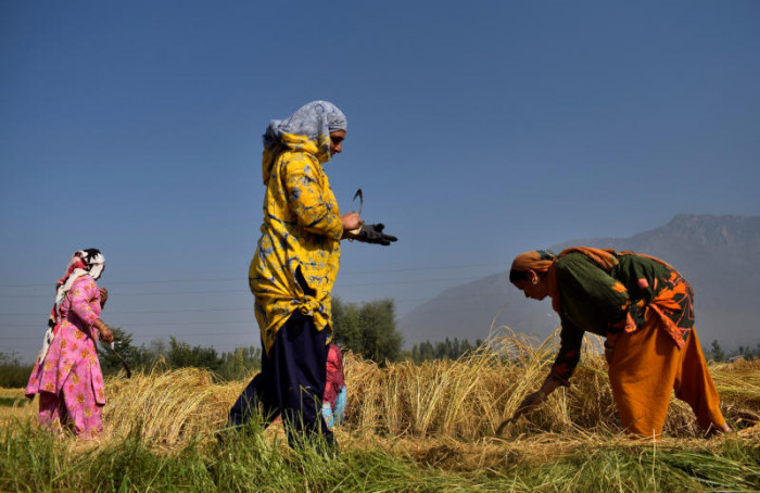 Bangkok Post - Worsening land inequality widens gender, climate change gaps