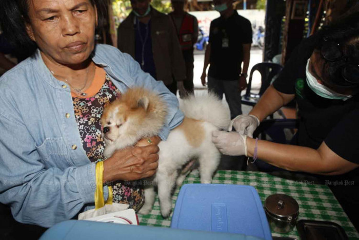 Bangkok Post - Govt rolls out plan to eradicate rabies