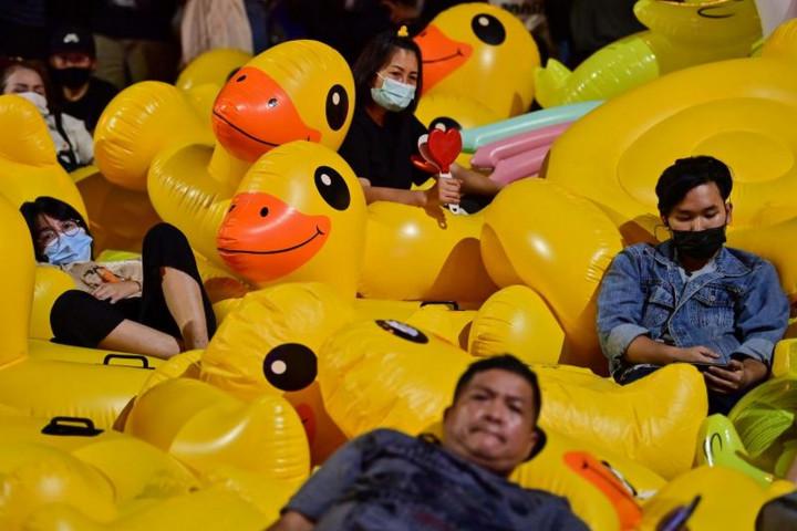 Bangkok Post - Yellow ducks became protest symbol by accident
