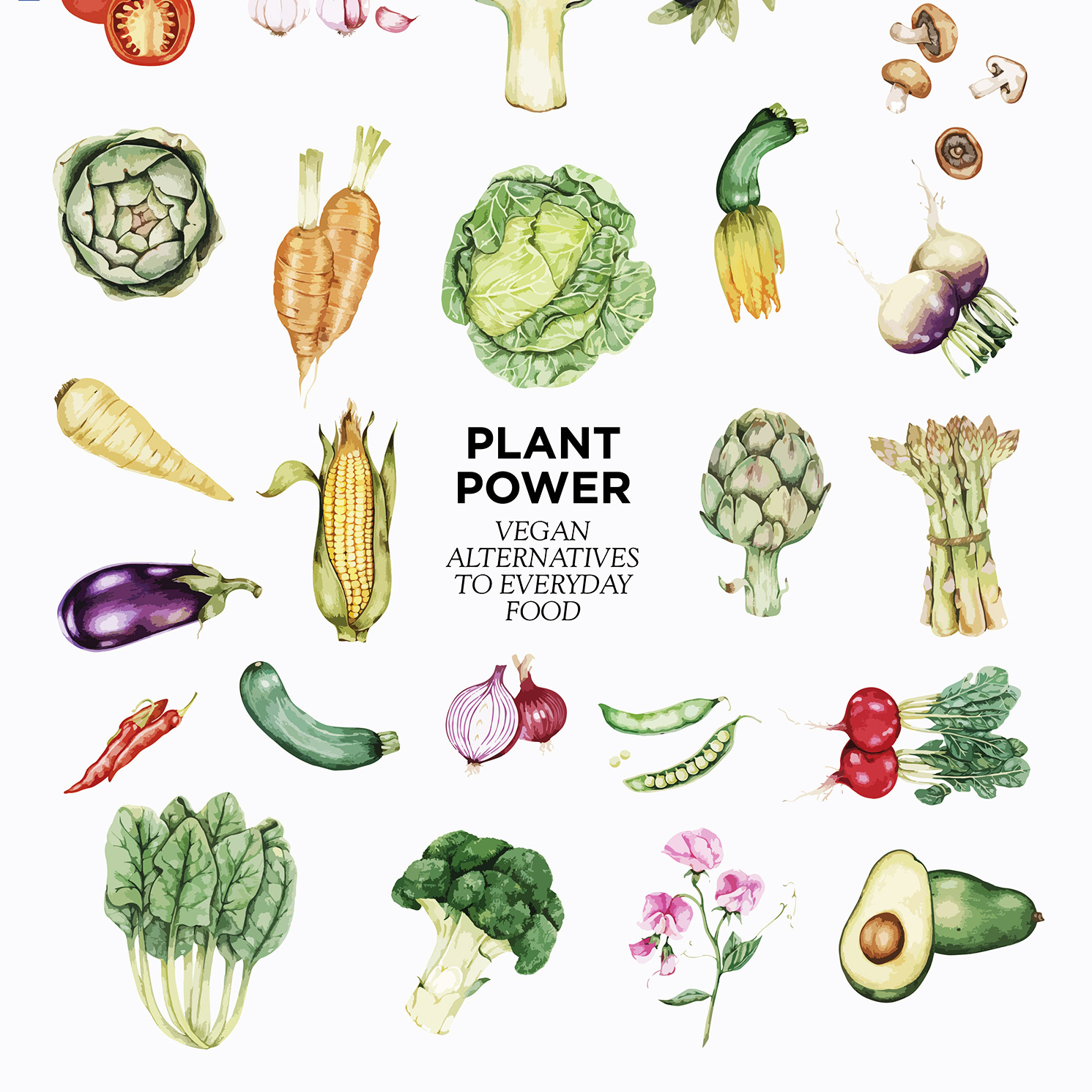 Bangkok Post - Plant power