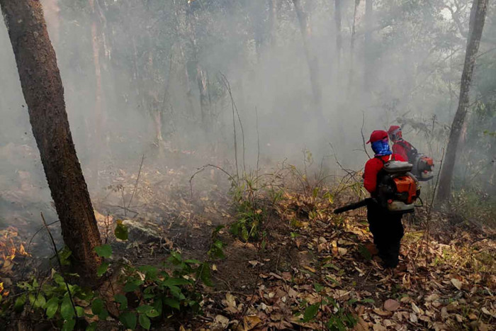 Bangkok Post - Wildfires causing thick smog in the North