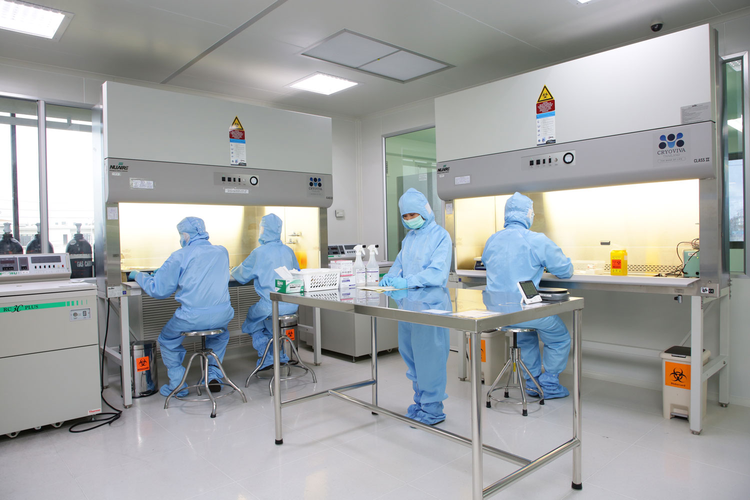 Bangkok Post - Stem cell collection - the new health insurance